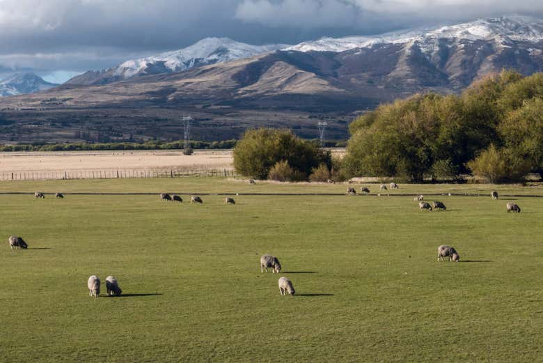 Escursione a Trevelin e Futaleufú da Esquel - Civitatis.com