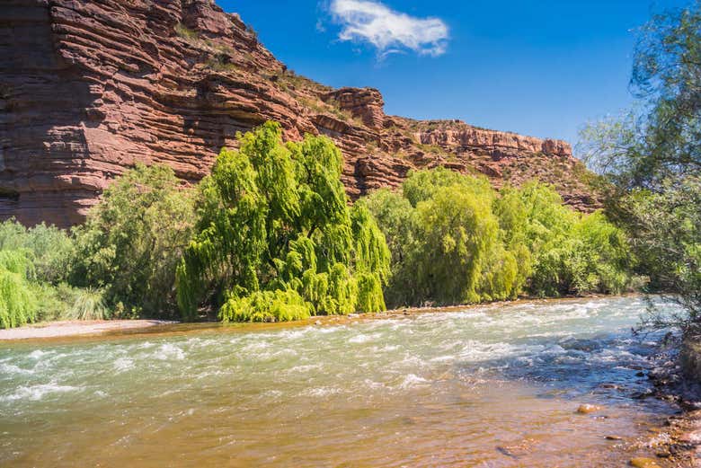 Excursão ao Cânion do Atuel e San Rafael saindo de Mendoza