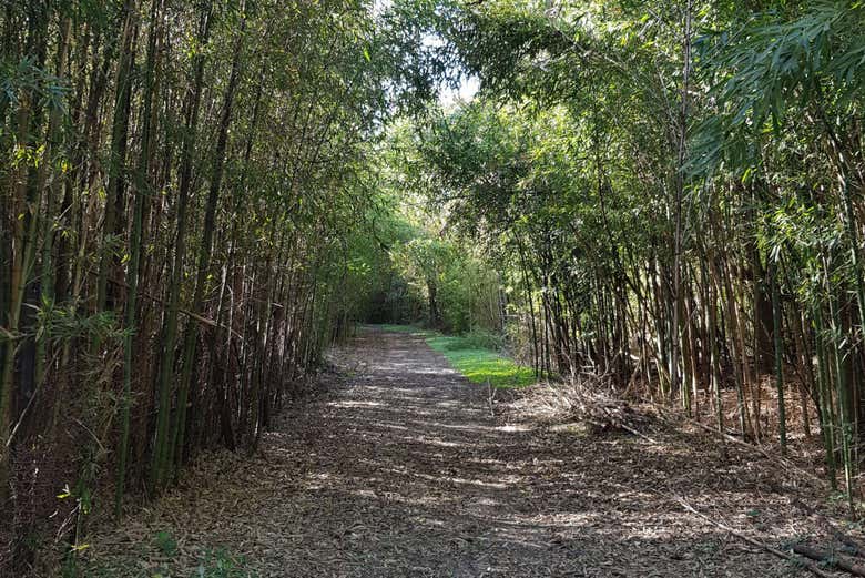 Martin Garcia Island Boat Trip from Tigre - Book at Civitatis.com