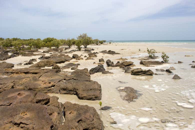 Tour pela península Dampier saindo de Broome - Civitatis.com