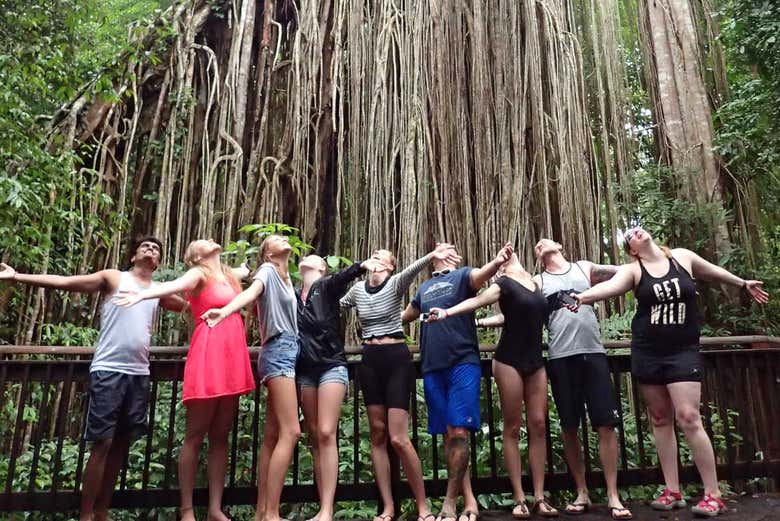 Escursione a Atherton Tablelands da Cairns - Civitatis.com