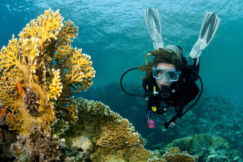 Scuba Diving Introduction at Lord Howe Island - Civitatis.com
