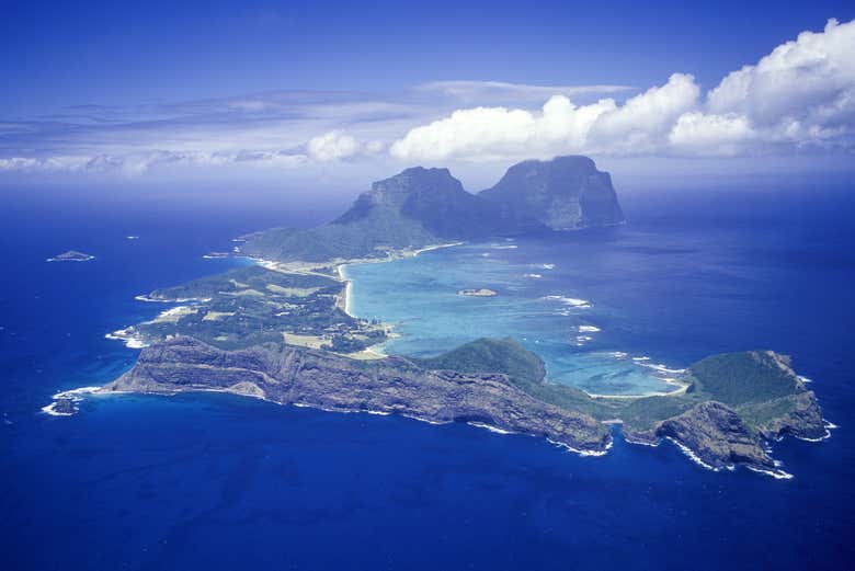 Snorkel con tiburones de Galápagos en la isla de Lord Howe, Isla de ...