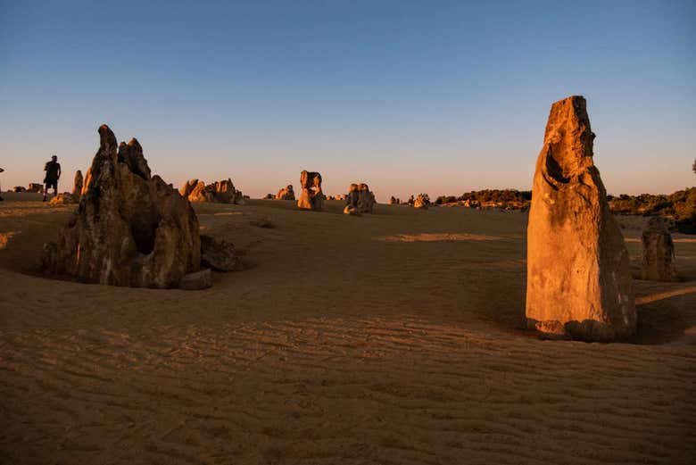 Excursión al desierto de los Pináculos desde Perth
