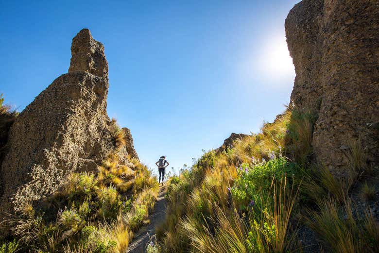 Valley of Souls & Palca Canyon Day Trip from La Paz