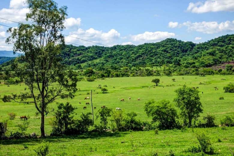 Tarija Valleys 3-Day Tour - Book Online at Civitatis.com