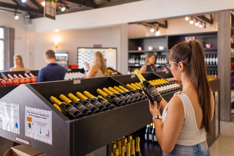 Maria Fumaça Train Ride & Garibaldi Winery Tour from Bento Gonçalves