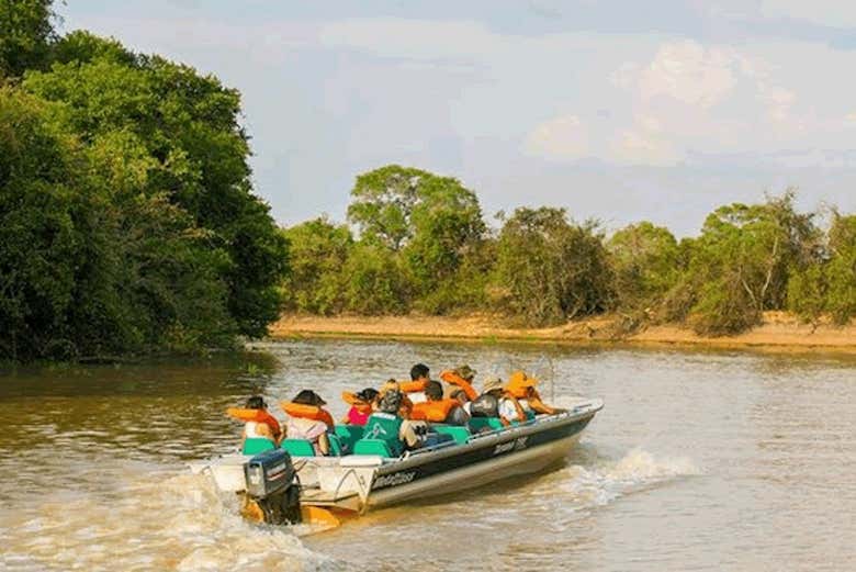 Safári pelo Pantanal saindo de Cuiabá - Reserve em Civitatis.com