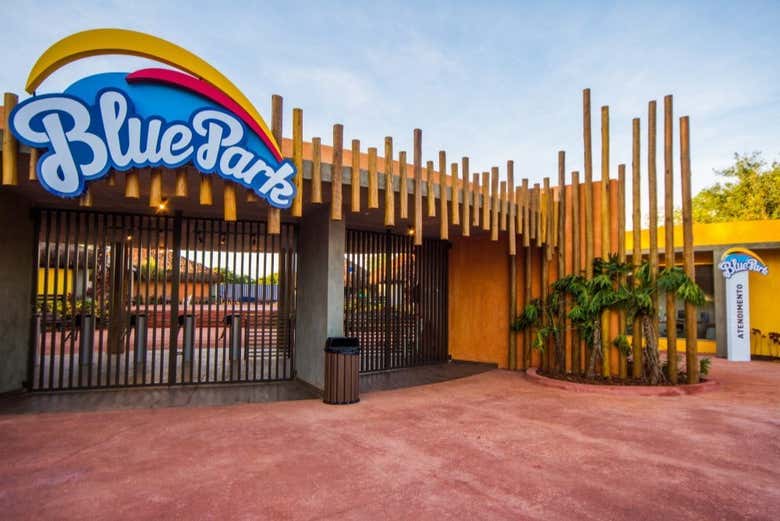 Blue Park Waterpark Day Trip from Foz do Iguaçu, Foz de Iguacu