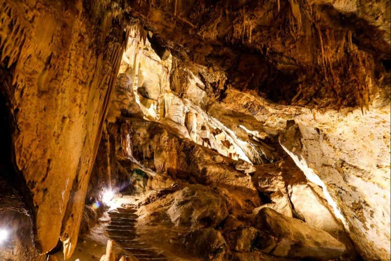 Botuvera Caves Tour from Itapema - Book Online at Civitatis.com
