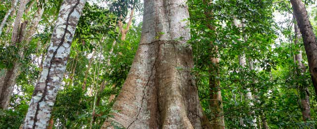 Macapa Tours & Activities | TourTeller Macapa Tours & Activities | TourTeller