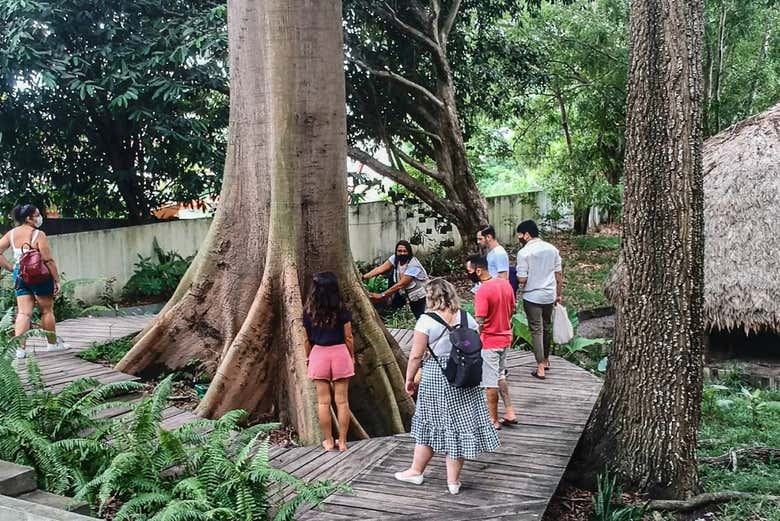 Tour por Macapá, Macapá