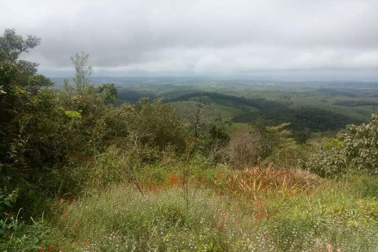 Chã Preta + Serra Lisa Tour from Maceió - Book at Civitatis.com