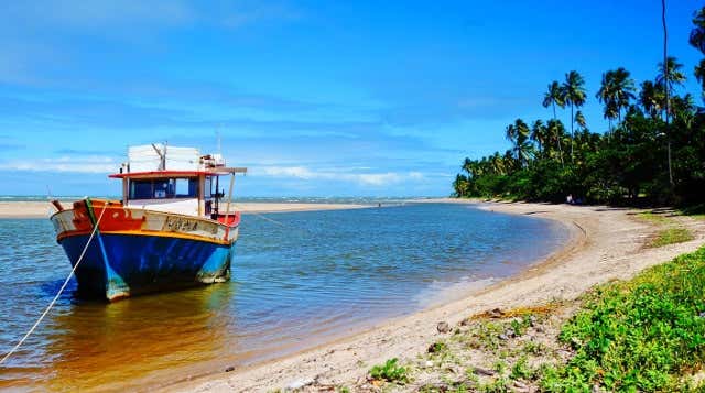 Excursiones, visitas guiadas y actividades en Maragogi - Civitatis
