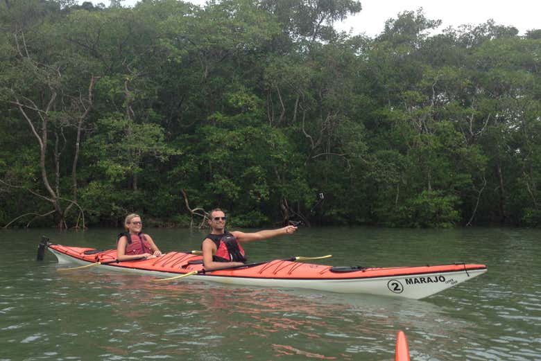 Beaches and Mangroves Kayaking Tour, Paraty