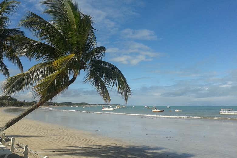 Excursión a Maragogi desde Recife - Reserva en Civitatis.com