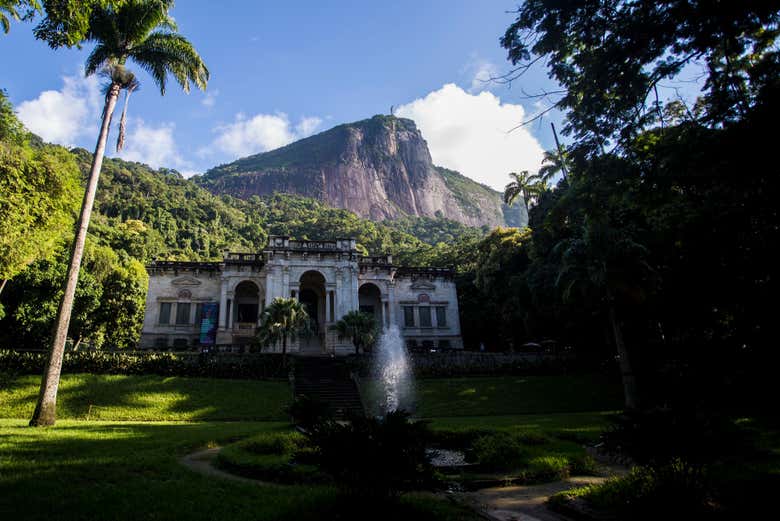 Botanical Garden + Tijuca Forest + Lage Park Tour in Rio de Janeiro