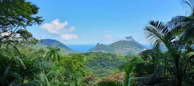 Tijuca National Park Cave Trail Hike, Rio de Janeiro