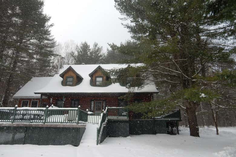 Snowshoe Hike in Plevna - Book Online at Civitatis.com
