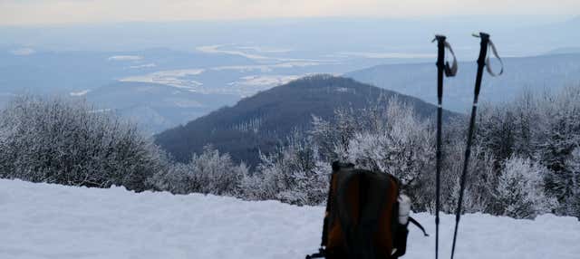 Snowshoe Hike in Plevna - Book Online at Civitatis.com