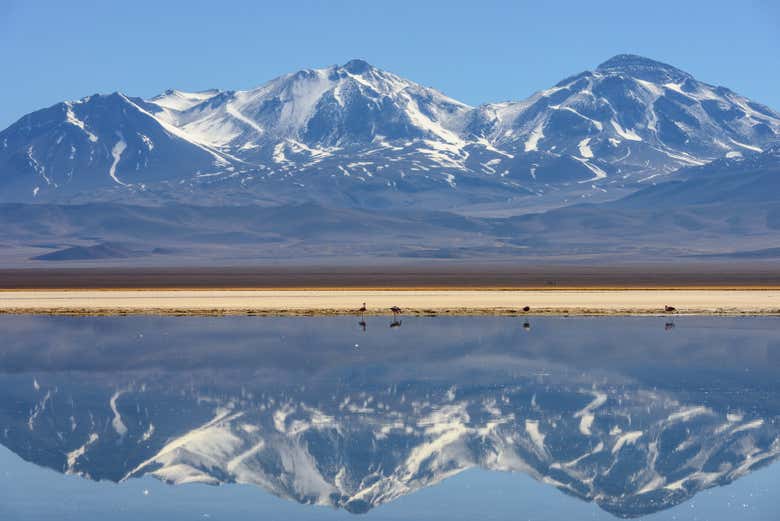 Tour por los Andes de la región de Atacama en Bahía Inglesa