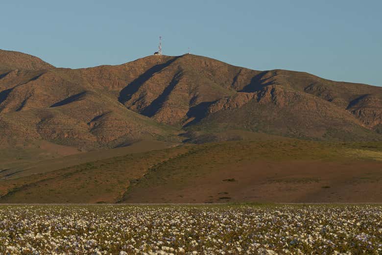 Tour de 2 días por el valle y el desierto de la región de Atacama en ...