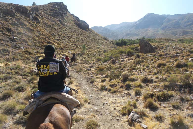 Curicó Mountains Horseback Riding Tour - Book at Civitatis.com
