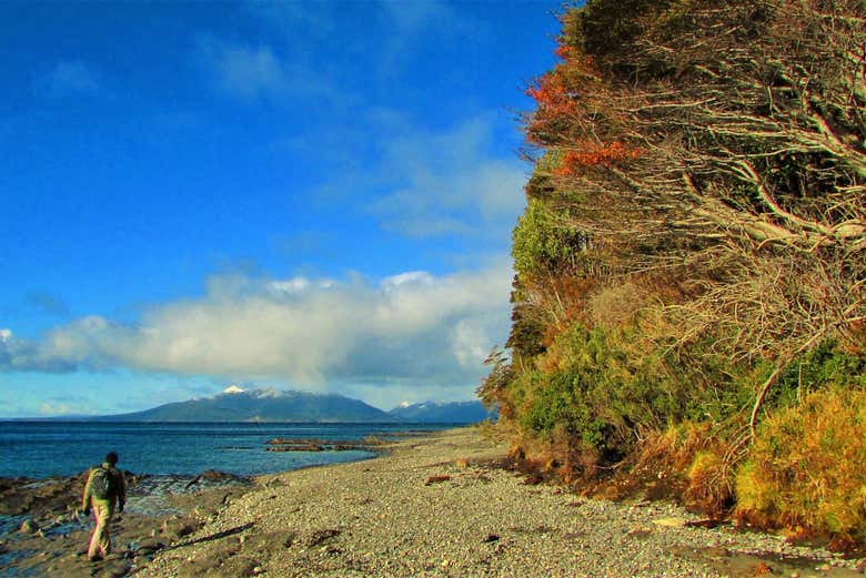 San Isidro Lighthouse Trip from Punta Arenas - Civitatis.com