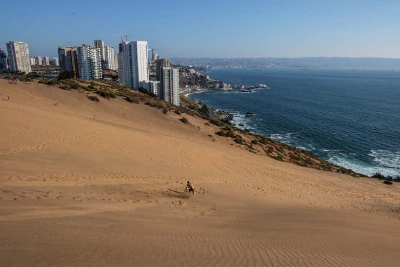 Tour privado pela costa do Pacífico em Concón - Civitatis.com
