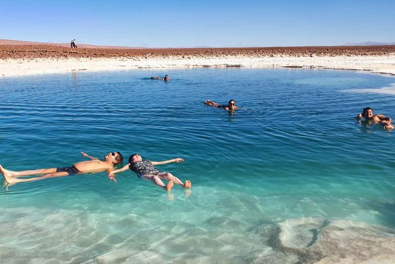 Baltinache Lagoons Excursion from San Pedro de Atacama