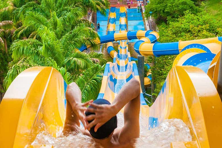 Excursión al Parque Acuático Piscilago desde Ibagué