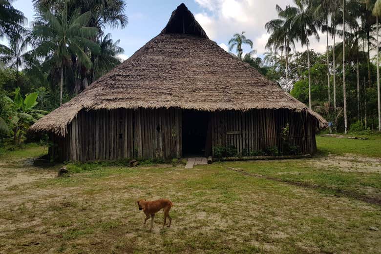 Excursión a una maloca del Amazonas desde Leticia - Civitatis.com