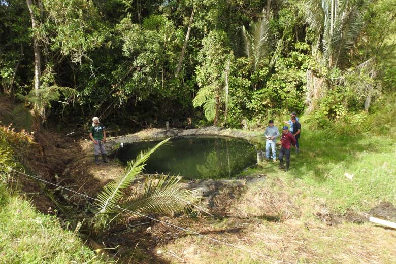 Ruta privada de senderismo por El Bosque + Termales de Canaán desde Murillo