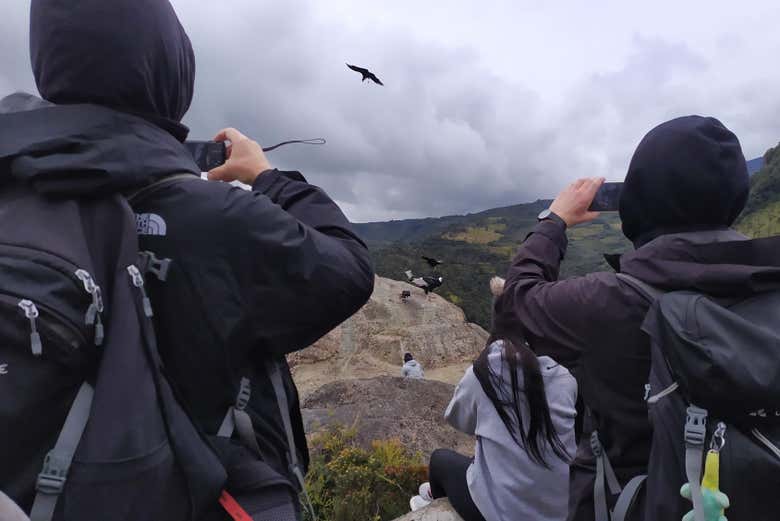 Condor Watching in Puracé + San Juan Hot Springs Tour from Popayán