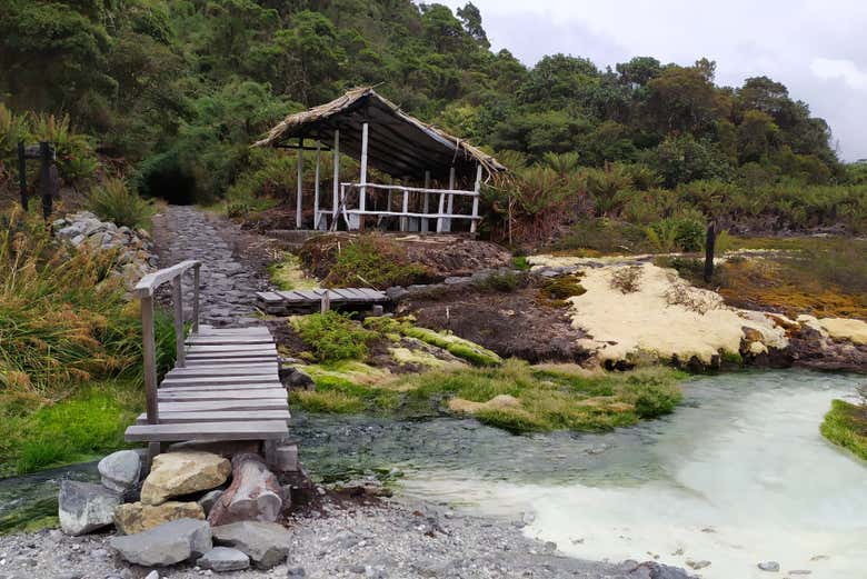Observation de condors à Puracé + Thermes de San Juan depuis Popayán