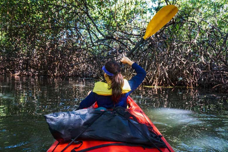 McBean Lagoon Kayak Tour, Providencia