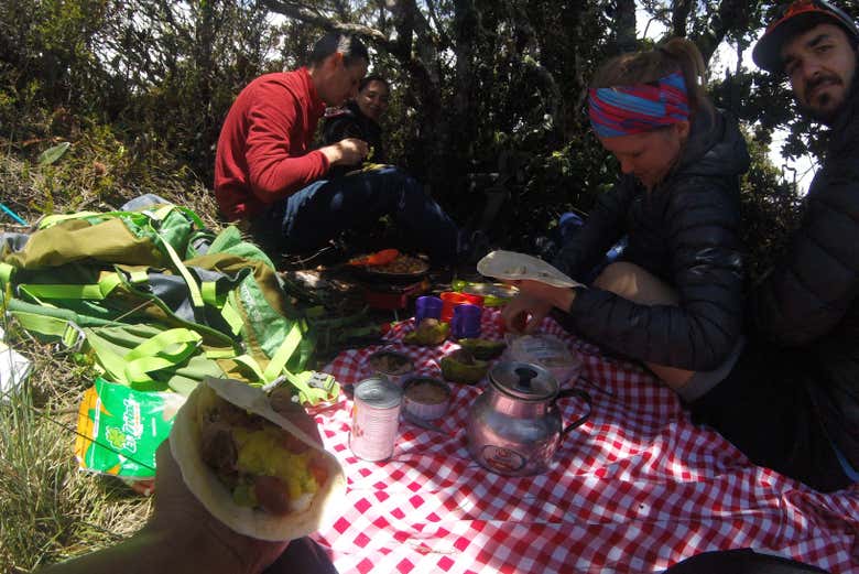Excursión a la Reserva Cerro Morro Gacho desde Salento
