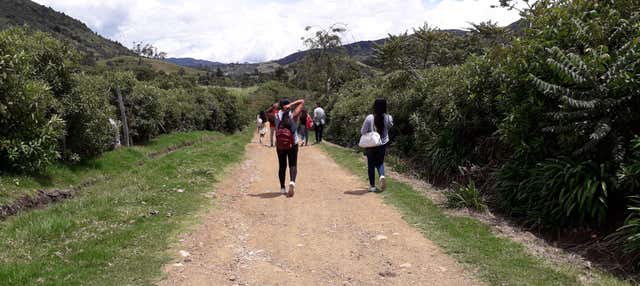 Tour of Misak Culture from Silvia, Silvia