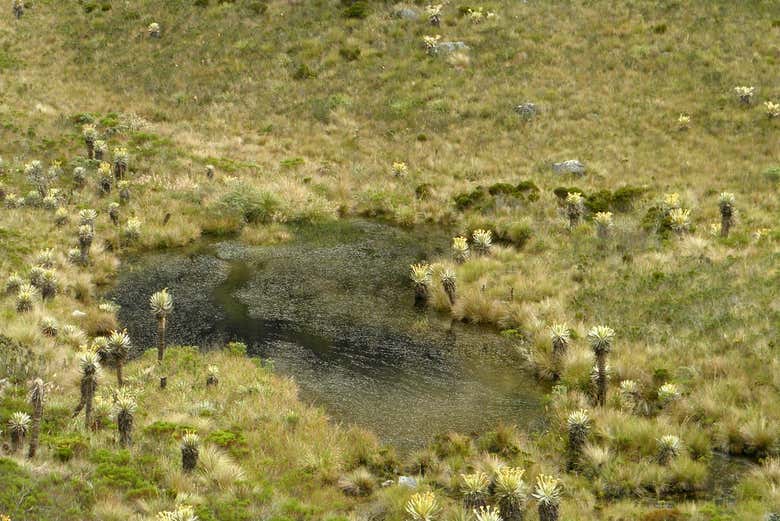 Hiking in the Iguaque Flora and Fauna Sanctuary from Villa de Leyva