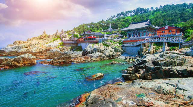 Activities, Guided Tours and Day Trips in Busan - Civitatis.com
