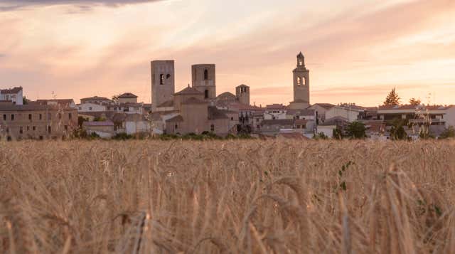 Excursiones, visitas guiadas y actividades en Arévalo - Civitatis