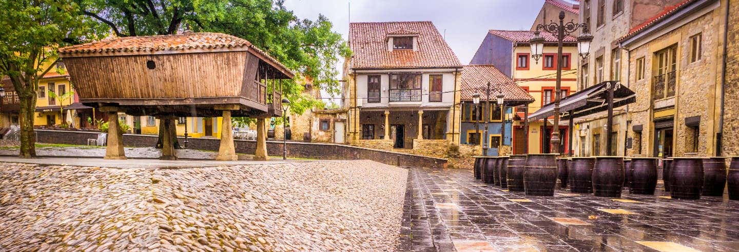 Activities, Guided Tours and Day Trips in Avilés - Civitatis.com