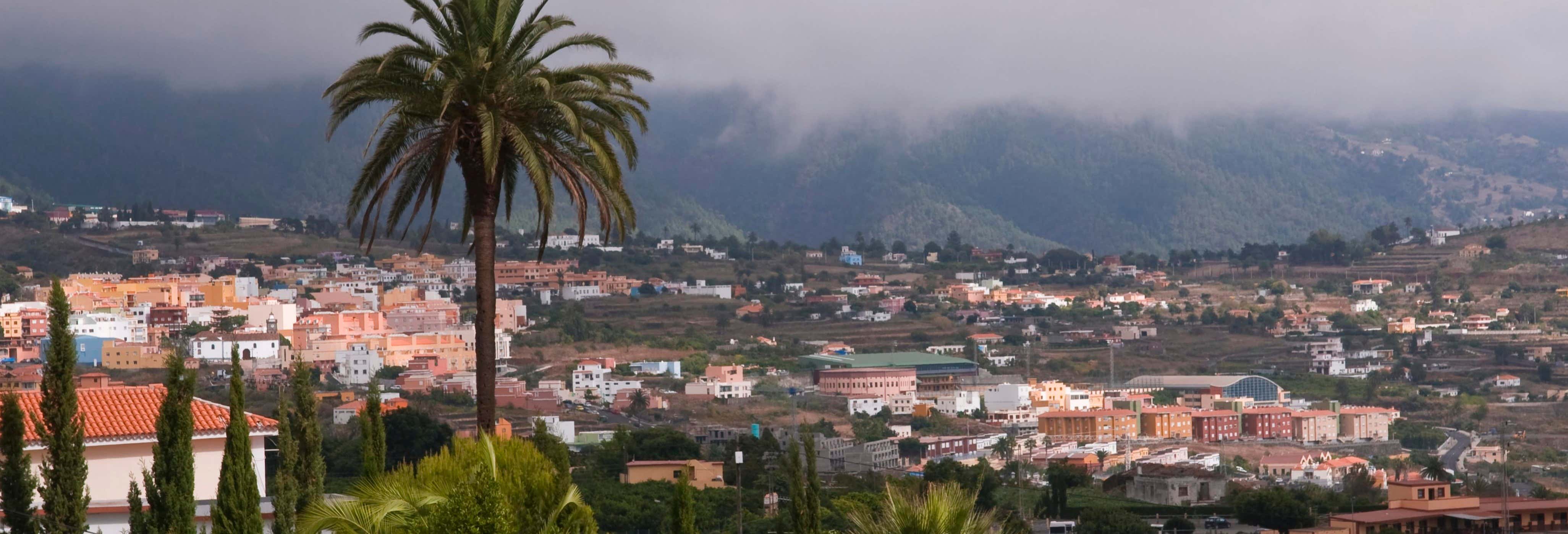 Excursions, visites guidées et activités à Breña Alta