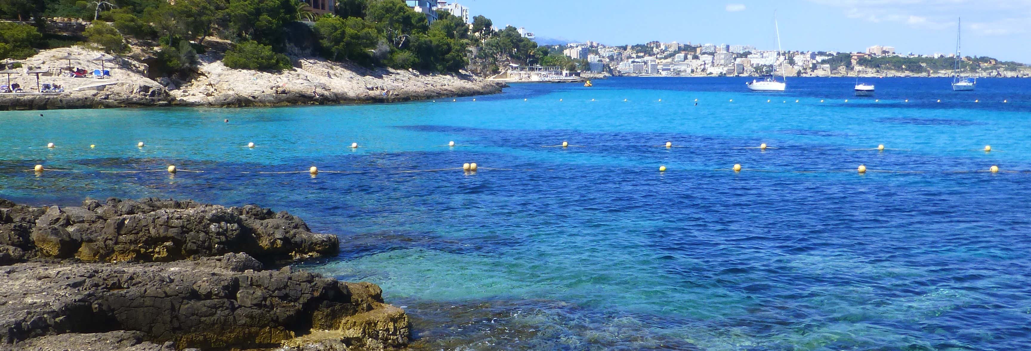 Excursiones, visitas guiadas y actividades en Cala Nova