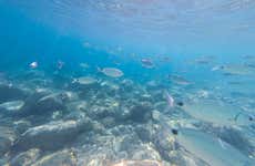 Activities, Guided Tours and Day Trips in Calp - Civitatis.com