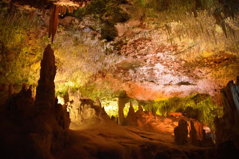 Excursión a las cuevas dels Hams y Dinosaurland desde Colonia de San Jorge