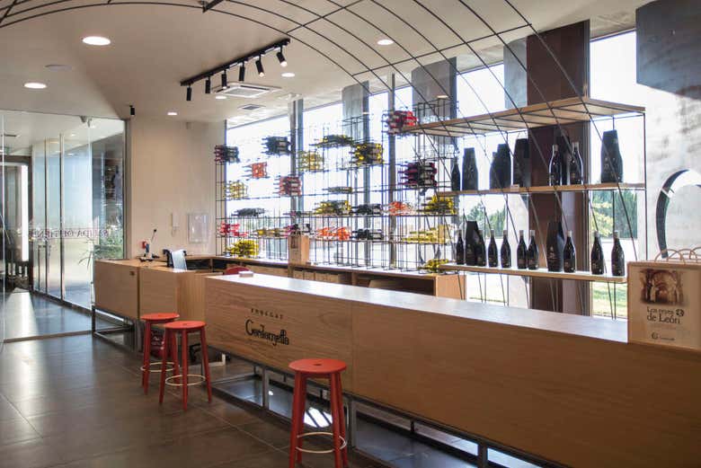 Bodegas Gordonzello Wine Tour, Gordoncillo