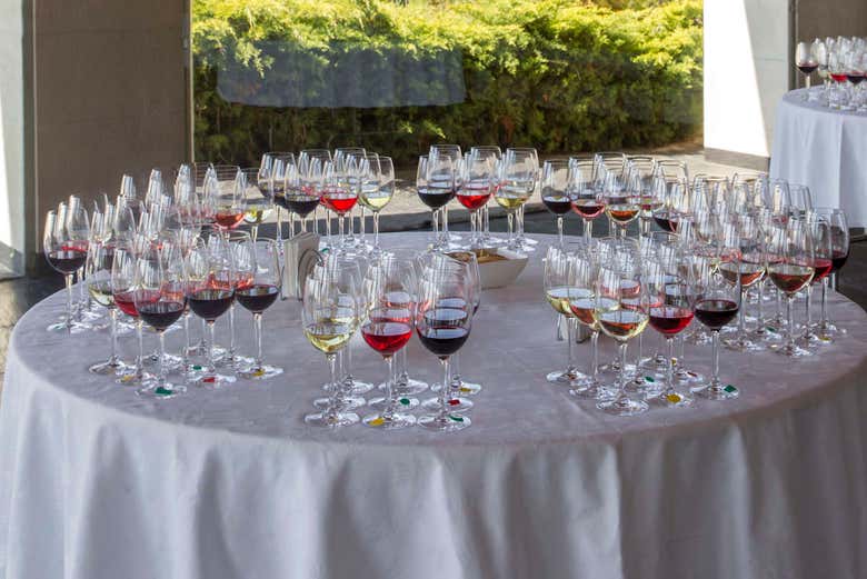 Visita a las bodegas Campillo, Laguardia