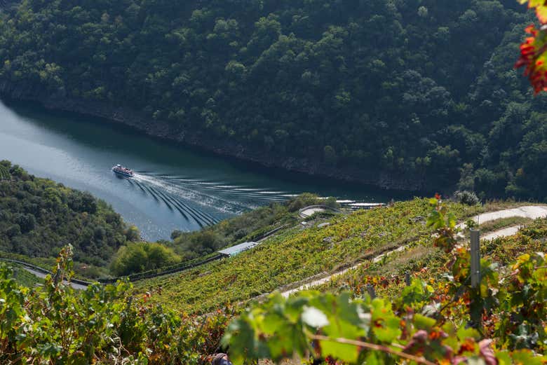 Excursão à Ribeira Sacra saindo de Lugo - Civitatis.com