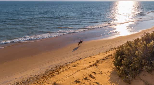 Excursiones, visitas guiadas y actividades en Matalascañas